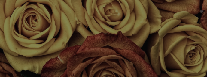 Understanding background images and how they work ... - The Square ...