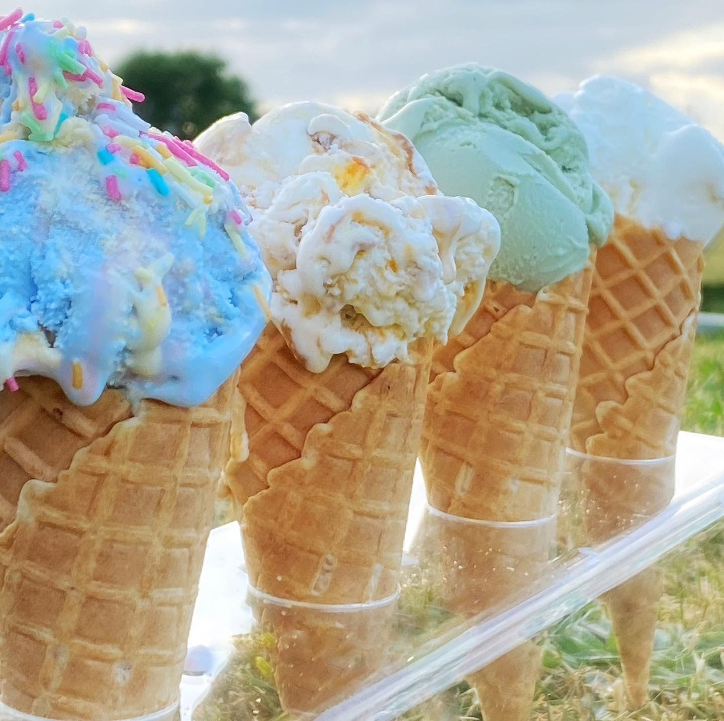 Do you ship temperature sensitive products? - The Square Community